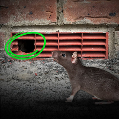 Mousemesh: Rat Mesh Air Brick Proofing - Small Stainless Steel 260mm(W ...