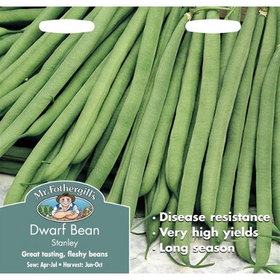 Mr. Fothergills Dwarf French Bean Stanley Seeds