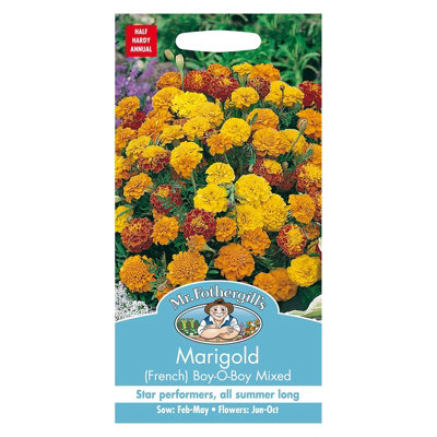Mr. Fothergills Marigold (French) Boy-O-Boy Mixed Seeds