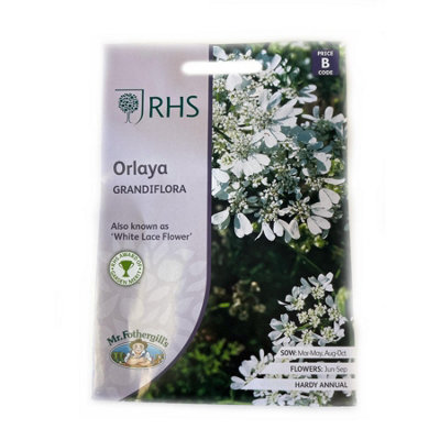 Mr Fothergills RHS Orlaya Grandiflora Flower Seeds