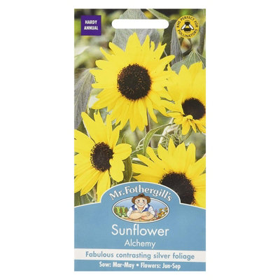 MR. FOTHERGILLS SUNFLOWER ALCHEMY SEEDS