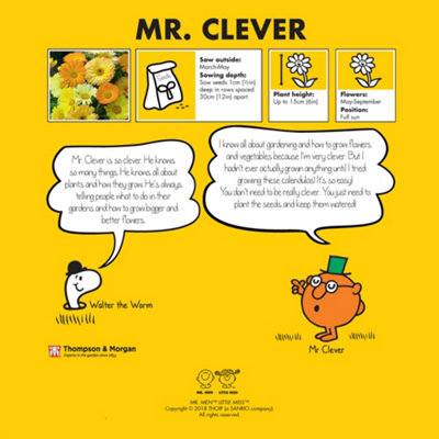 Mr. Men™ Little Miss™ - Mr. Clever - Calendula Fruit Twist 1 Packet (60 ...