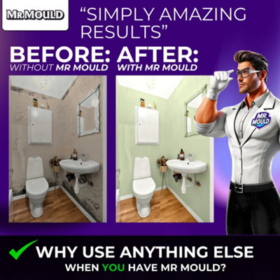 MR MOULD - Anti-Mould Paint - Premium Colour & Protection for Interior ...