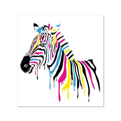 Multi Coloured Zebra Premium Glass Kitchen Splashback W600mm x H650mm