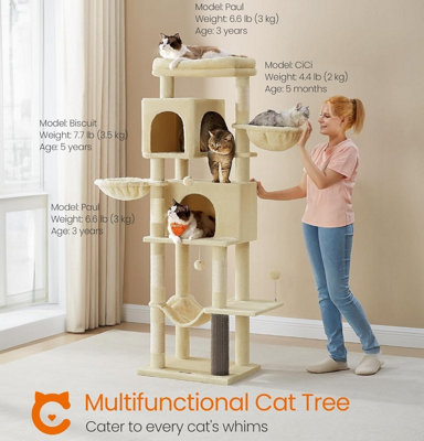 Multi-Level Cat Condo, Tall Cat Tower, Large Tree with Caves ...