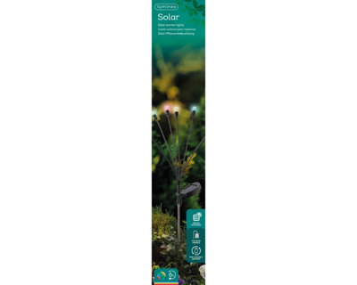 Multicoloured Berry Solar Stake Light Firefly Decorative Garden Path ...