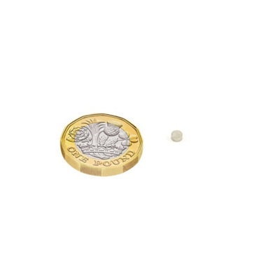 N35 Neodymium Magnet for Arts, Crafts, Model Making, Hobbies, Science ...
