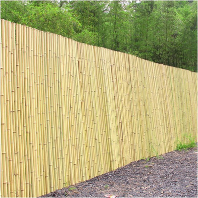 Natural Bamboo Garden screen (H)1m (W)4m