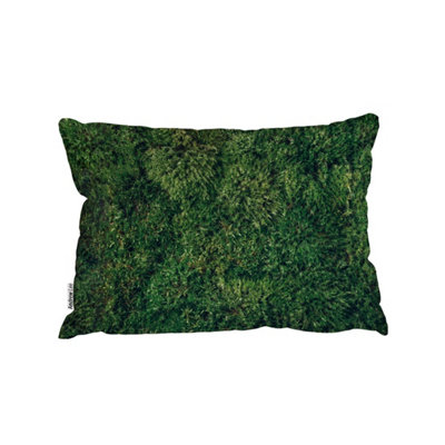 Natural Green Moss (Cushion) / 30cm x 45cm | DIY at B&Q