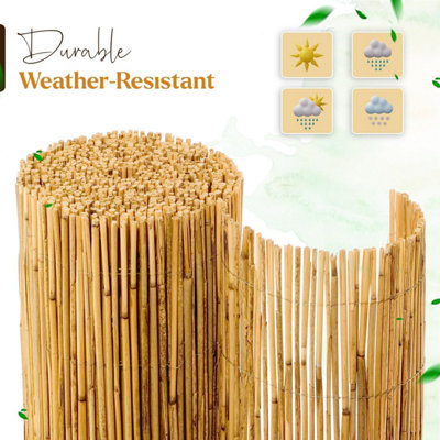 Natural Reed Garden Fence Roll Outdoor Privacy Screening Decorative ...
