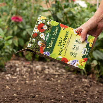 Natures Haven Easy Wildflower Mix Box of granular compost and easy to ...