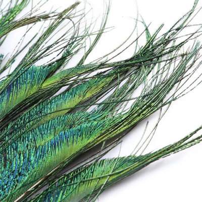 Neel Blue 25-30 cm Natural Peacock Feathers, Green Plume, 10pcs