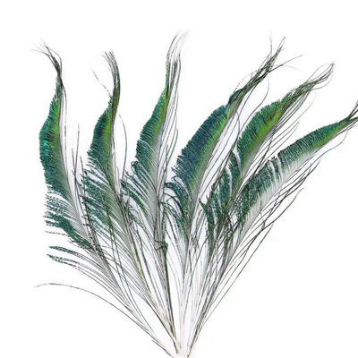 Neel Blue 25-30 cm Natural Peacock Feathers, Green Plume, 10pcs