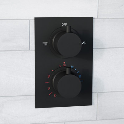 Nes Home 2 Dial 2 Way Round Concealed Thermostatic Shower Mixer,Head ...