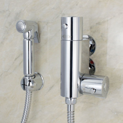 Nes Home Contemporary Chrome Thermostatic Bar Valve Bidet Douche ...