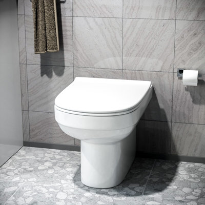 Nes Home Modern Stylish Bathroom Back to Wall Toilet with Soft Close ...