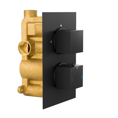 Nes Home Square 2 Dial 1 Outlet Concealed Thermostatic Shower Matt Black