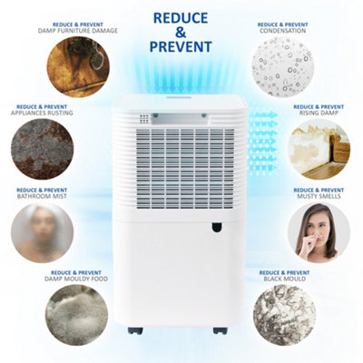 NETTA 12L Compact Dehumidifier - Digital Control Panel, Air Filter ...