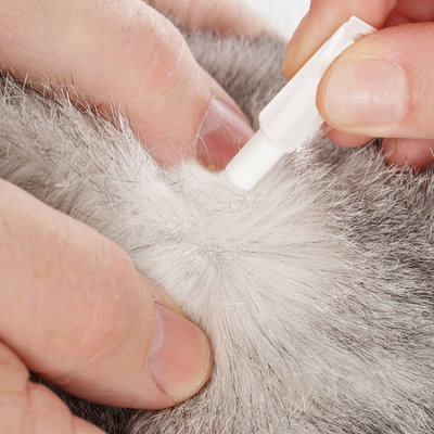 NEW FIPROTEC COMBO CAT 3 PIPETTE