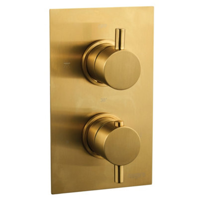 Niagara Brushed Brass Thermostatic Twin Concealed Shower Valve Modern Round