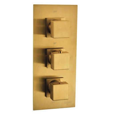 Niagara Observa Concealed Triple Shower Square Valve Wall-Mount Brushed ...