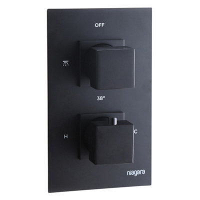 Niagara Observa Concealed Twin Thermostatic Shower Valve Square Hand ...