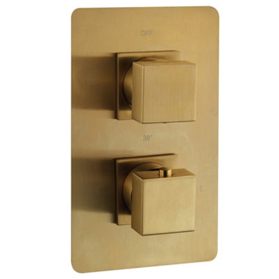 NIAGARA OBSERVA TWIN SINGLE OUTLET CONCEALED SQUARE SHOWER VALVE ...