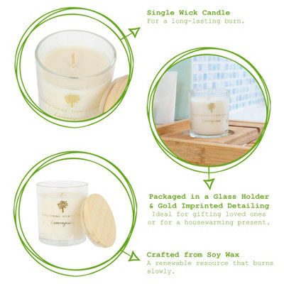 Nicola Spring Soy Wax Scented Candles - 130g - Lemongrass - Pack of 3