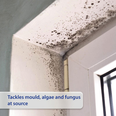 Nilco Angel Clear 1L Mould Algae Remover Cleaner Walls Tiles PVC Patios ...