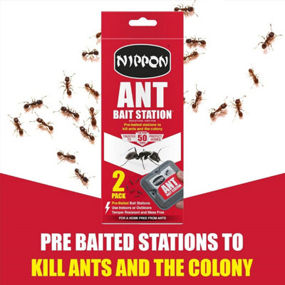 Nippon Ant Bait Station Twin Pack - (4 Pack) Pre-Baited, Tamper ...