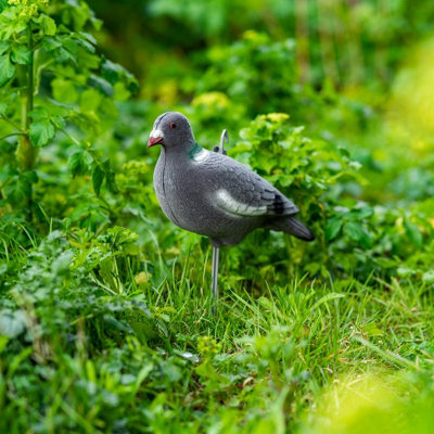 Nitehawk Pigeon Decoy - FULL BODY FLOCKED