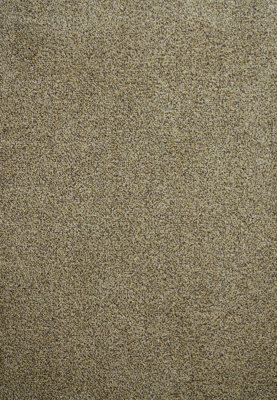 Non Slip Absorbent Dirt Trapper Entrance Door Mats Beige 50x80 cm