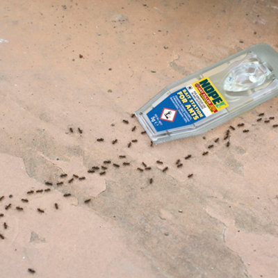 NOPE Ant Killer 3 x Bait Stations Box x 4 Pack. Traps for Indoor ...