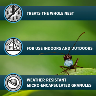 NOPE Ant Killer Bait Powder 500g for Indoors and Outdoors, Targeted Ant ...