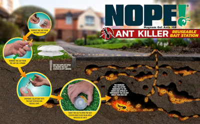 NOPE Ant Killer Syringe (2x10g) Baited Ant Gel Indoor & Outdoor Total ...