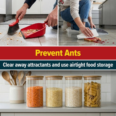 NOPE CP Ant Killer Spray (500ml) Effective Ant Control - Fast-Acting ...