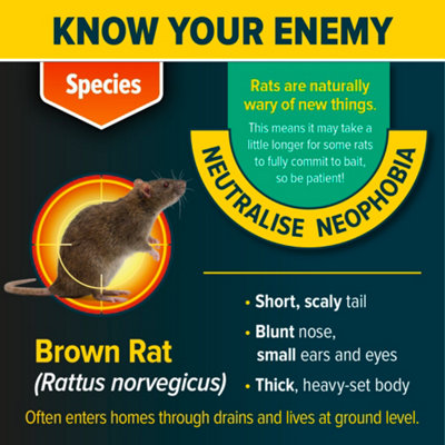 NOPE Pre-Baited Rat Bait Kit (2 Boxes, 6 Blocks 20g) Ready-to-Use ...