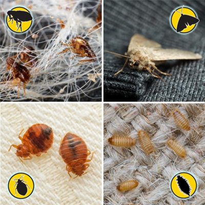 NOPE Smoke Flea Bombs For The Home - 6 Pack - Low Odour, Non-Staining ...