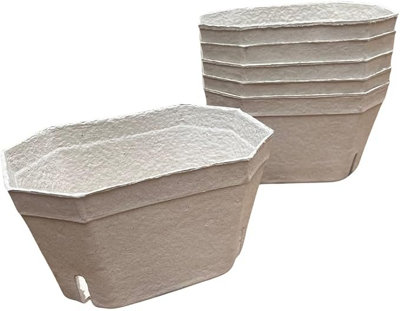 Nutley's 1000g Biodegradable Fruit Punnets - Large Capacity, Pack of 150