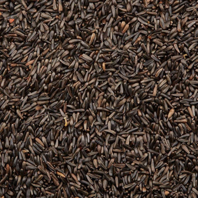 Nyger Bird Seed Garden Premium Grade Nyjer Dehulled Wild Bird Food by ...