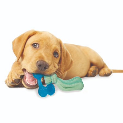 Nylabone Puppy Freezer Bone With Washcloth Peanut Butter
