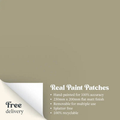 Olive Tree Paint Patch Flat Matt Sample | £1 at B&Q