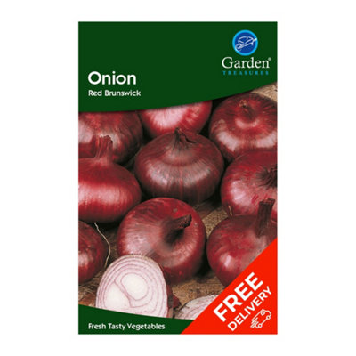 Onion Brunswick (Allium cepa) Grow Your Own Seeds