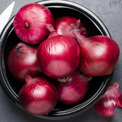 ONION F1 KAMAL RED GLOBE SEED PACKET - UNIFORM MILD STRONG FLAVOR ...