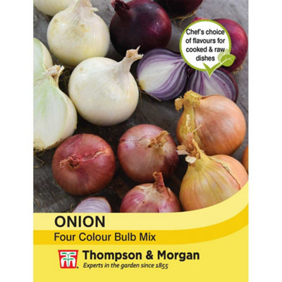 Onion Four Colour Onion 1 Seed Packet
