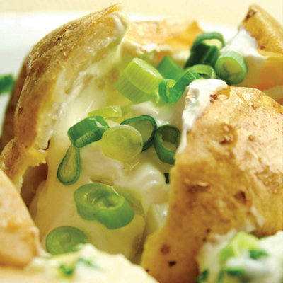 Onion Performer 1 Seed Packet (250 Seeds)