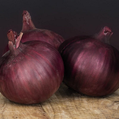Onion Redlander F1 1 Seed Packet