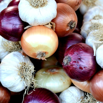 Onion Sets 750g Mix + 3 White Garlic Bulbs Bundle - Mixed Onions with ...