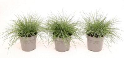 Opm Pt PTPP2408 Patio Zink Pot, 29cm Pot Size, 28cm Tall, Patio Zinc ...