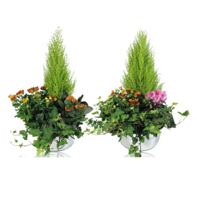 Opm RS-00032501 Zink Schaal, 25cm Pot Size, 40cm Tall, Split Willow ...